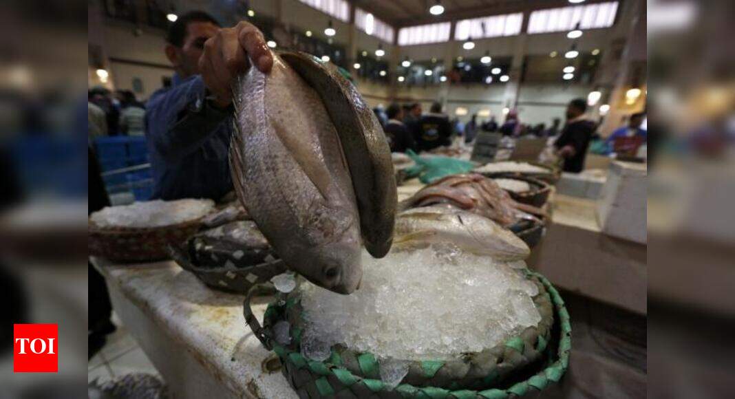 National Bureau Of Fish Genetics Resources: UP's state fish Chitla is ...