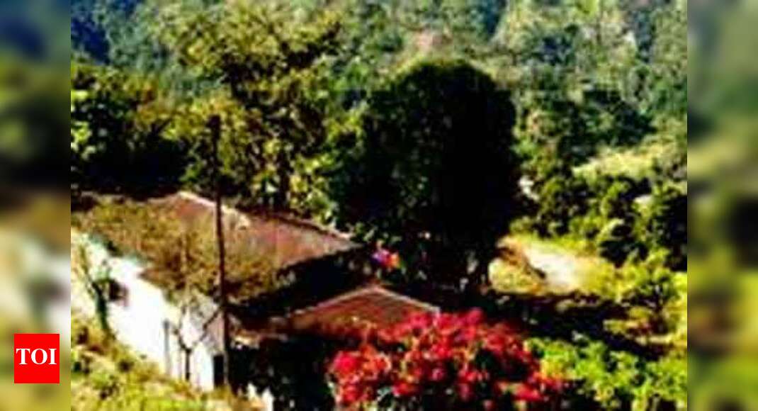 Chuikhim, a wonderland trapped in amber - Times of India