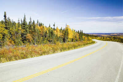 The weirdest travel phobias - Times of India