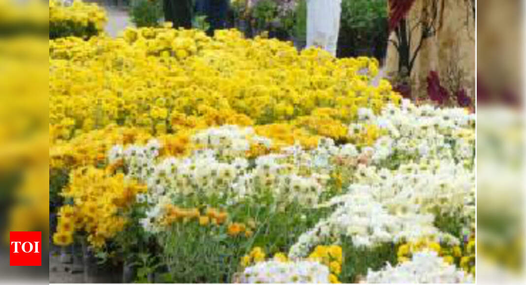 Now, online course on biodiversity and field botany - Times of India