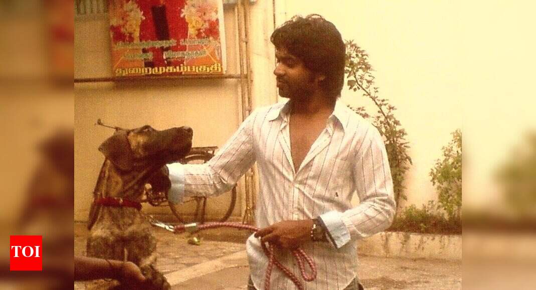 Simbu's dog passes away! | Tamil Movie News - Times of India