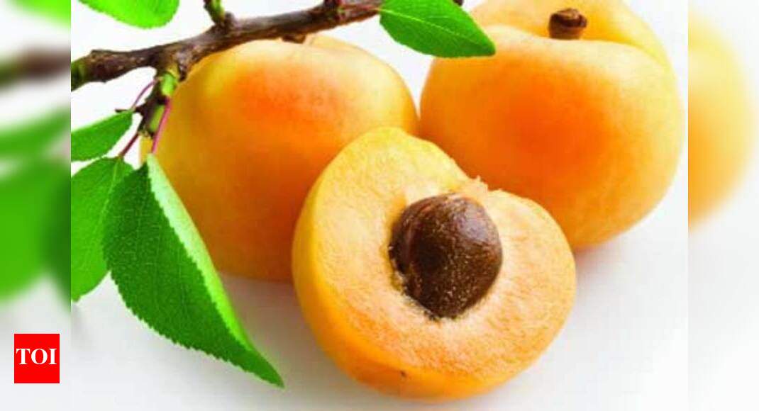 Jam it up with apricots this summer - Times of India
