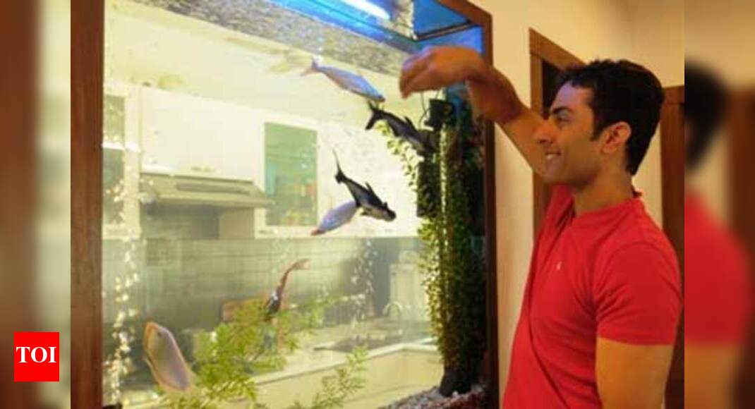 I love sharks: Sudhanshu Pandey - The Times of India
