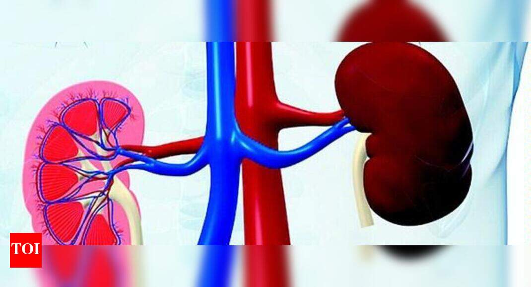 High doses of statins can cause kidney damage - Times of India