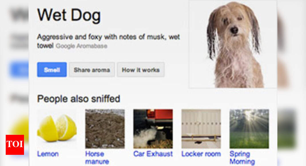 Google launches smell-based search feature, Nose - Times of India