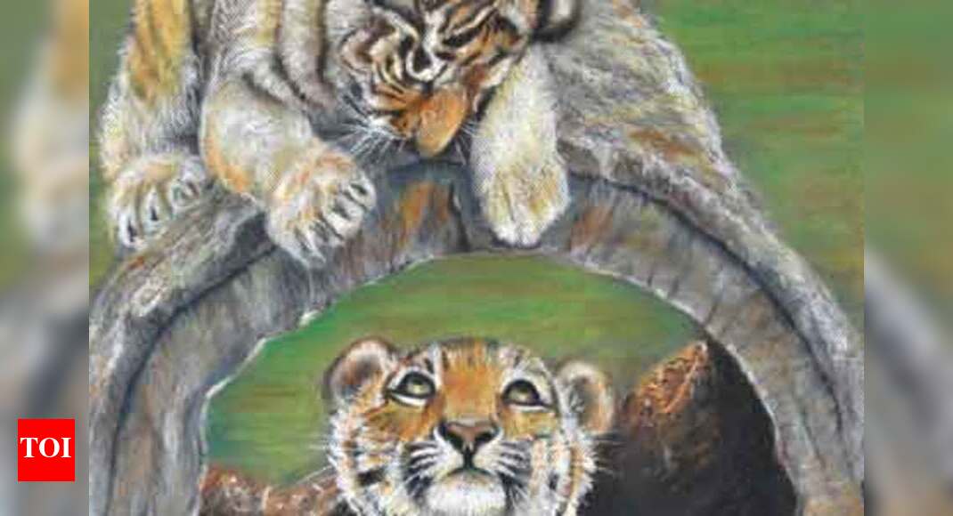 Beware! The tiger is here! - Times of India