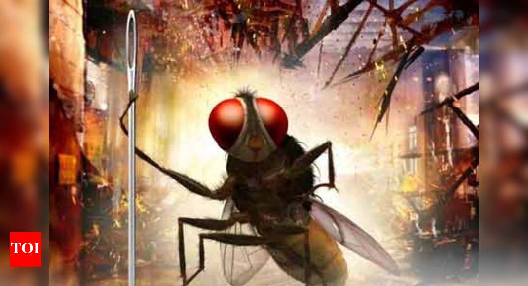 Eega wins B Nagi Reddy Award | Telugu Movie News - Times of India