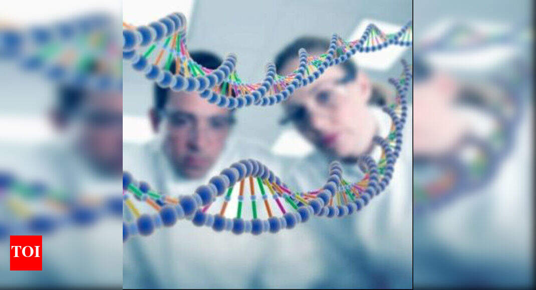 Gujarat scientists set to decode Indian genes - Times of India