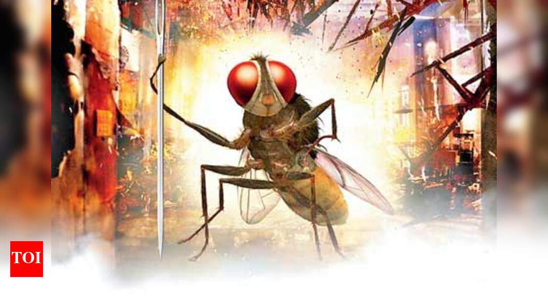 Rajamouli's Eega flies to 3 International Film Festivals | Telugu Movie ...