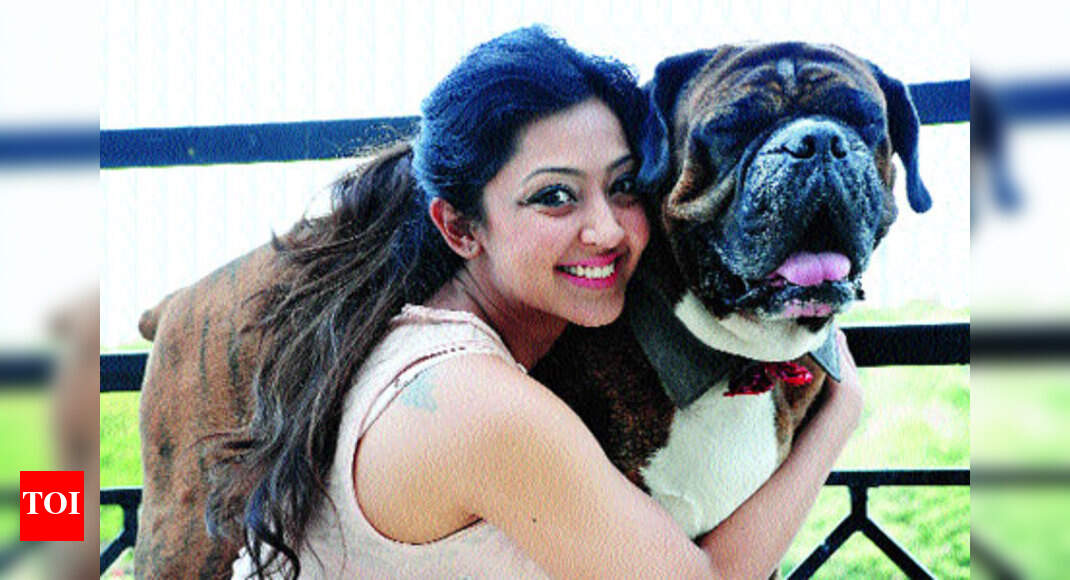 What pets taught their celebrity owners - Times of India