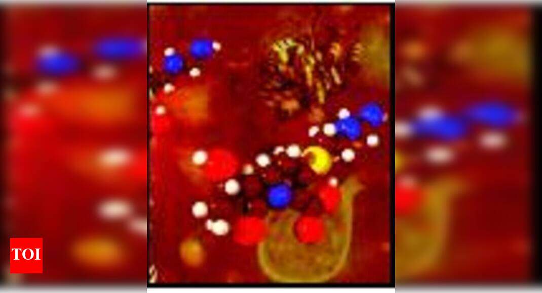 Giant 3D-printed bugs to aid study - Times of India