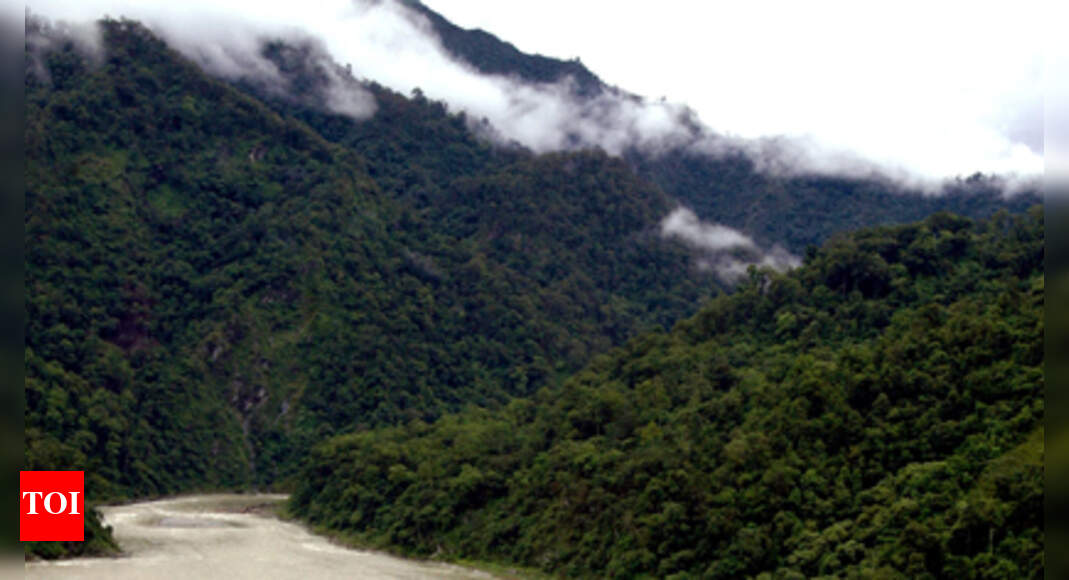 Part of Manipur's forests may be diverted for hydel project - Times of ...