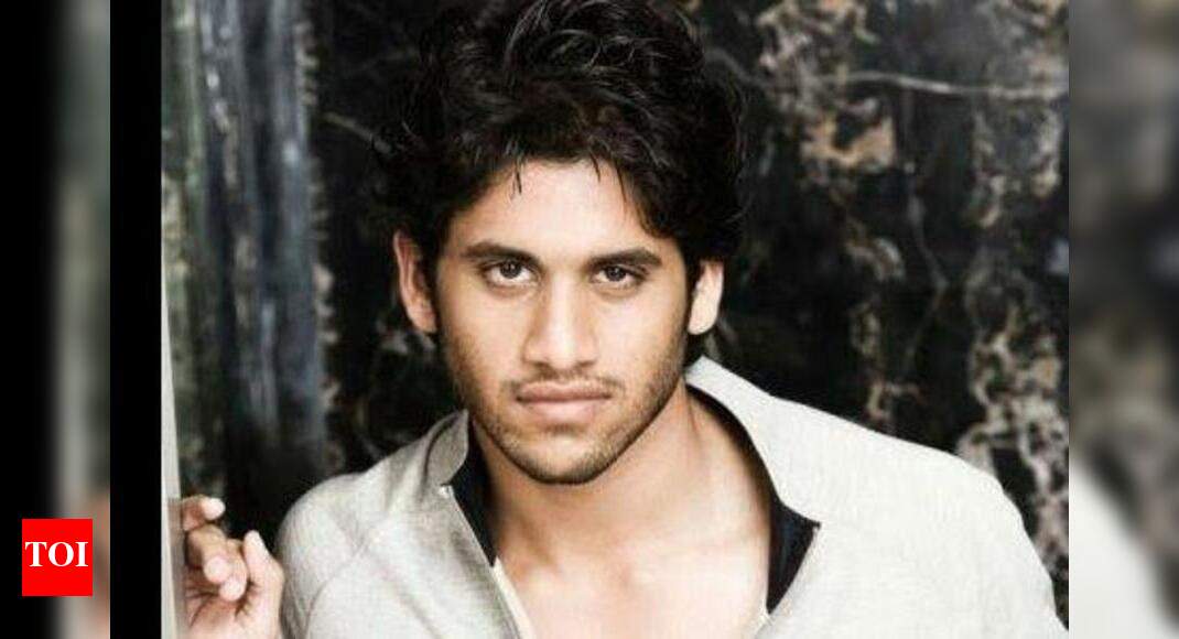 Naga Chaitanya's Hello Brother remake shelved? | Telugu Movie News ...