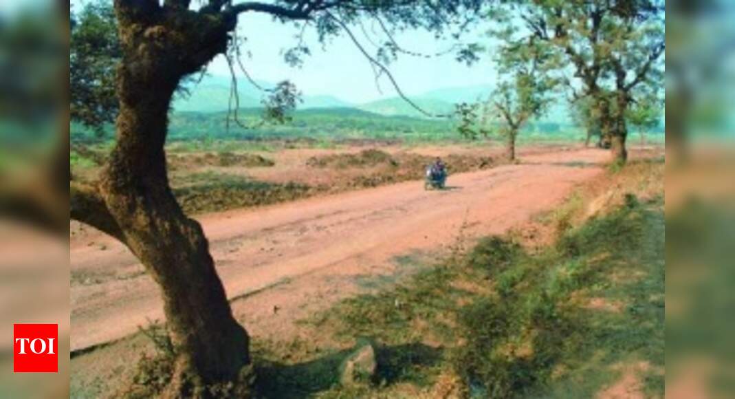 Digging up dirt - Times of India
