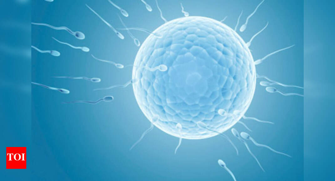 All you need to know about semen banking - Times of India