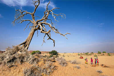 Capturing the vastness of the desert - Times of India