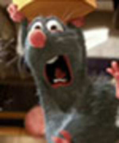 Ratatouille | undefined Movie News - The Times of India