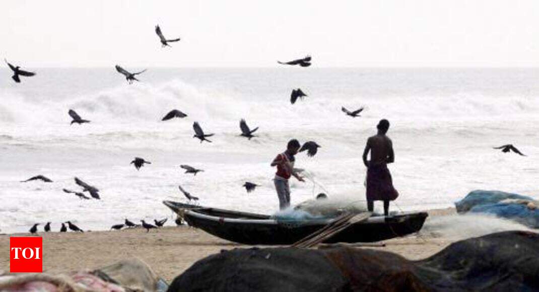 Paradip port: Cyclone Phailin: Paradip Port shuts operations, forces ...