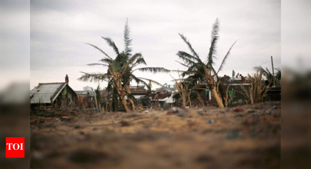 Odisha lost 26 lakh trees due to cyclone Phailin | India News - Times ...