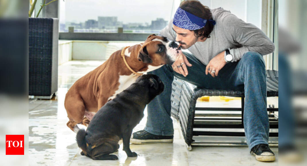 Bollywood celebs on their love of dogs - Times of India