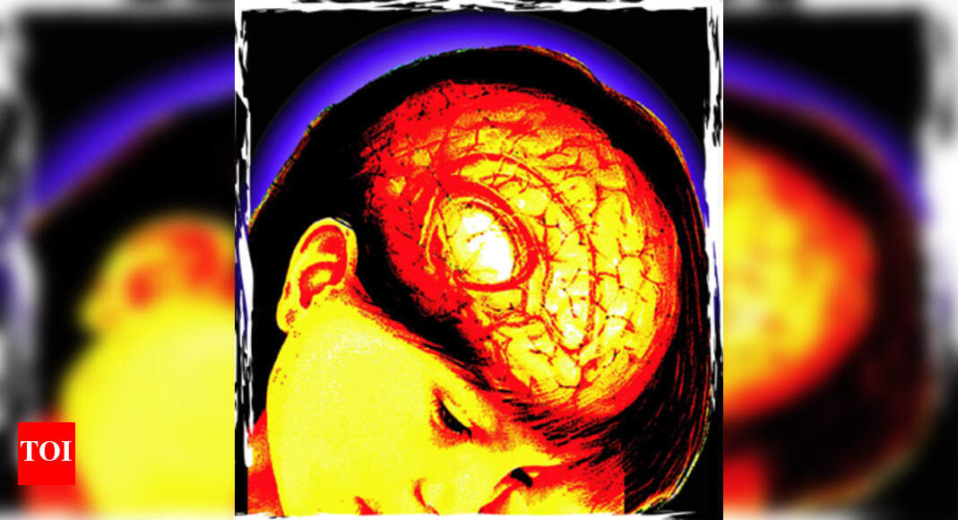 Brain's decision-making algorithms decoded - Times of India