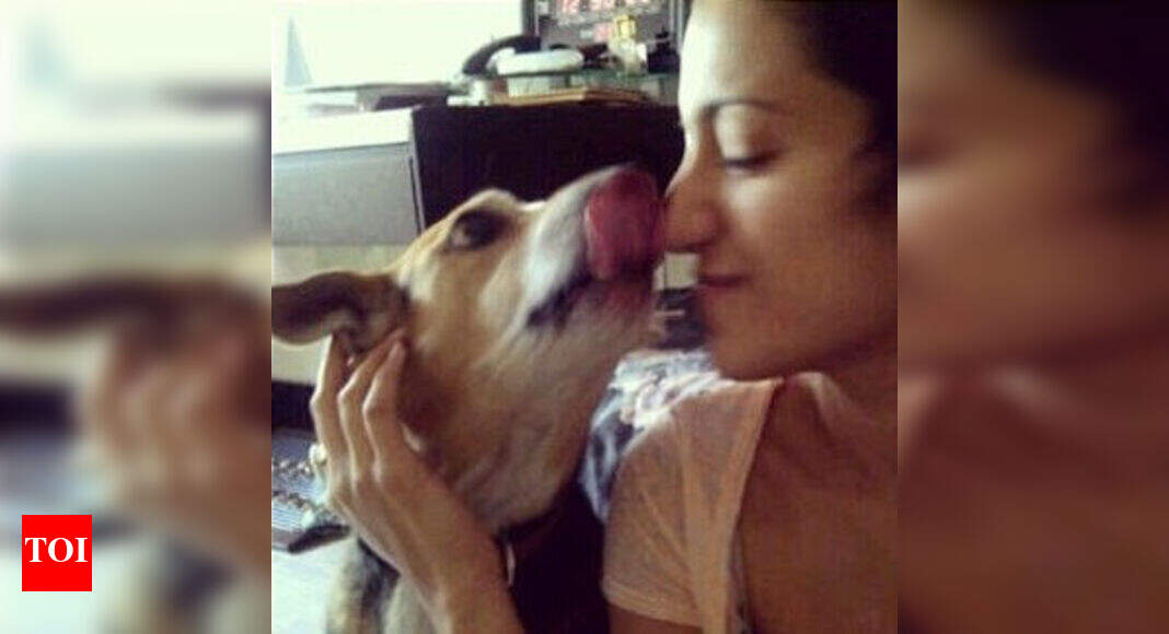 Trisha mourns Cadbury's death! | Tamil Movie News - Times of India
