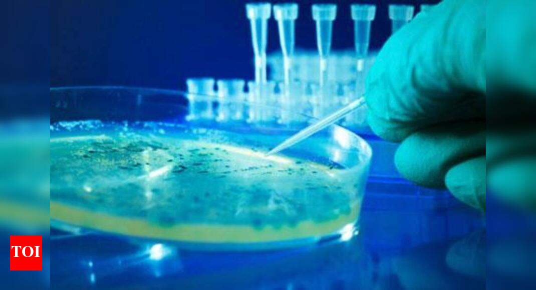New Delhi superbug springs up in China - Times of India