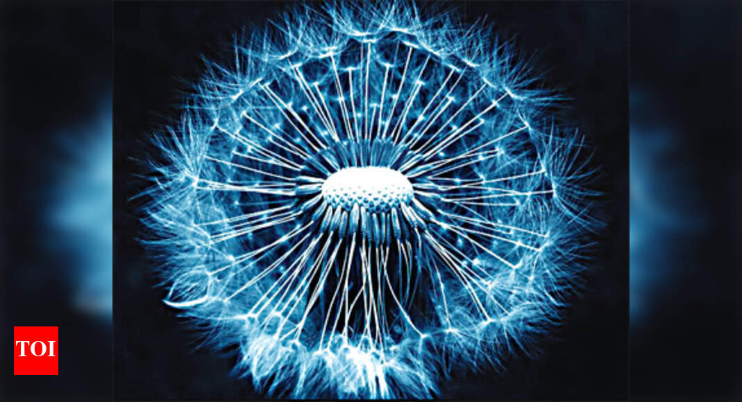 Treatment Of Leukaemia: Scientists develop artificial bone marrow ...