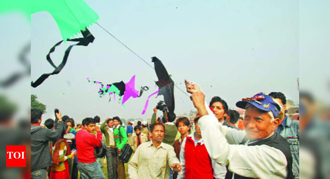Bird injuries force ban on kite flying - Times of India