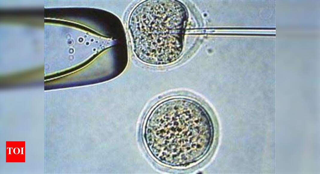 3D-printed living human tissues one step closer - Times of India