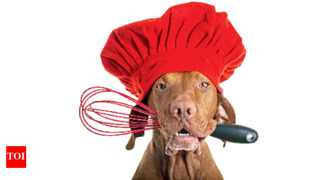 Pizza for pets? That’s pawsible! - Times of India