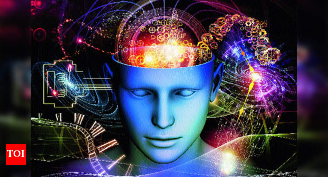 What’s your brain type? Take this quiz - Times of India