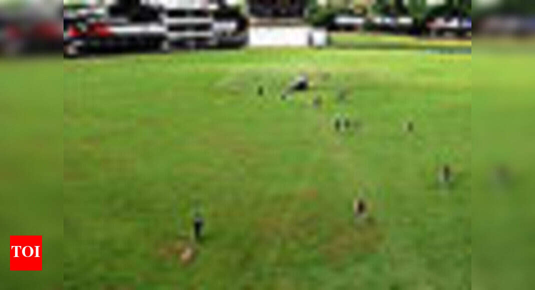 Sinhalese Sports Club Ground, Colombo | New Zealand in India 2016 News ...