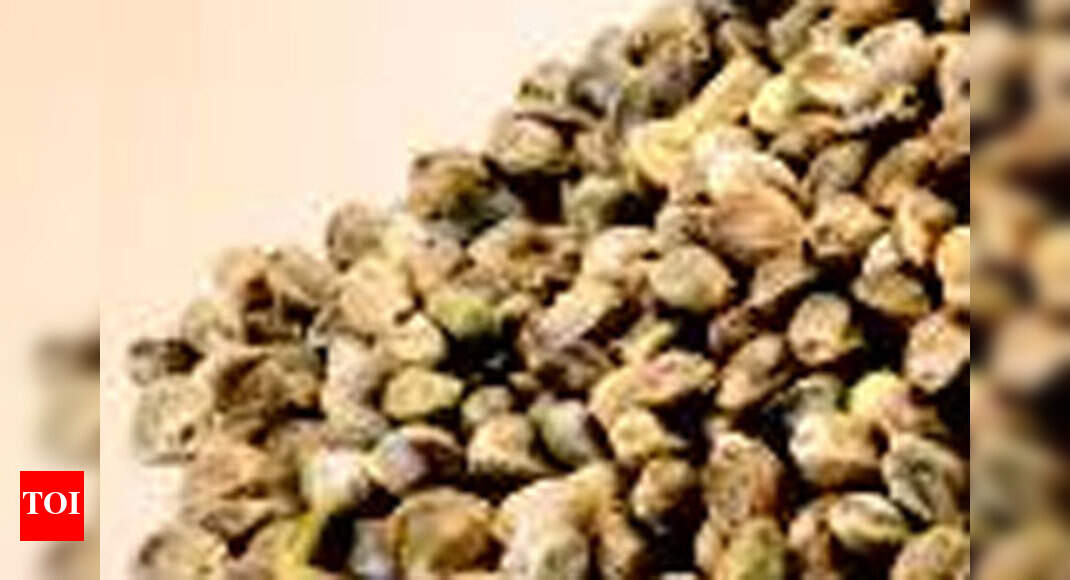 Super seeds - Times of India