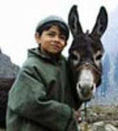 Tahaan (Now Playing) | Hindi Movie News - Times of India