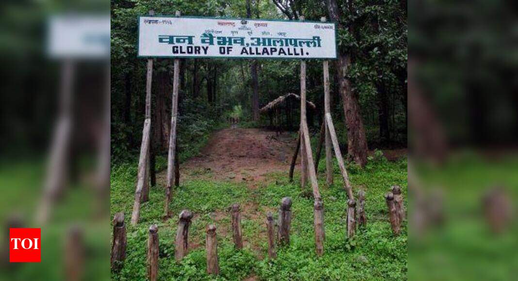 'Glory of Allapalli' is Maharashtra's first biodiversity heritage site ...