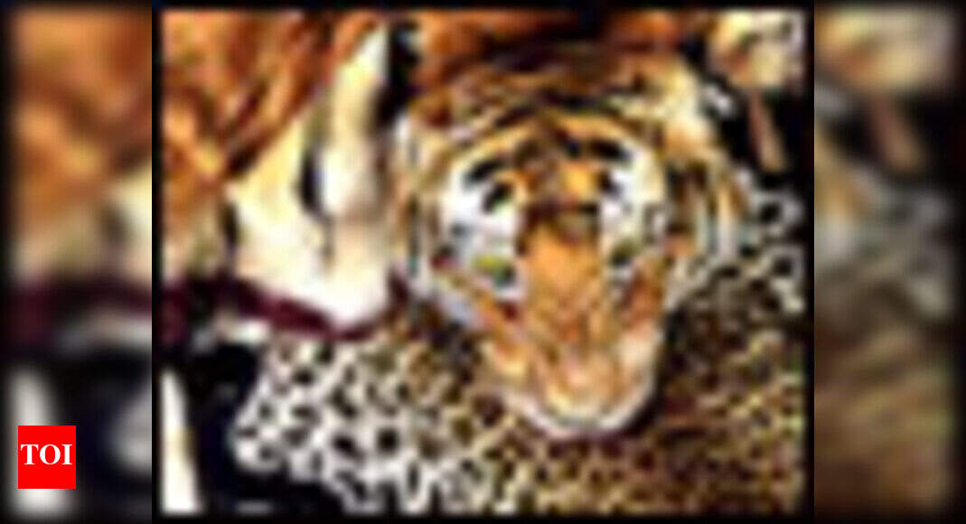 Five arrested in connection with tiger killing - Times of India