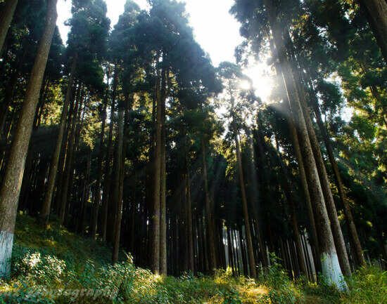 Takdah - Darjeeling: Get the Detail of Takdah on TimesTravel