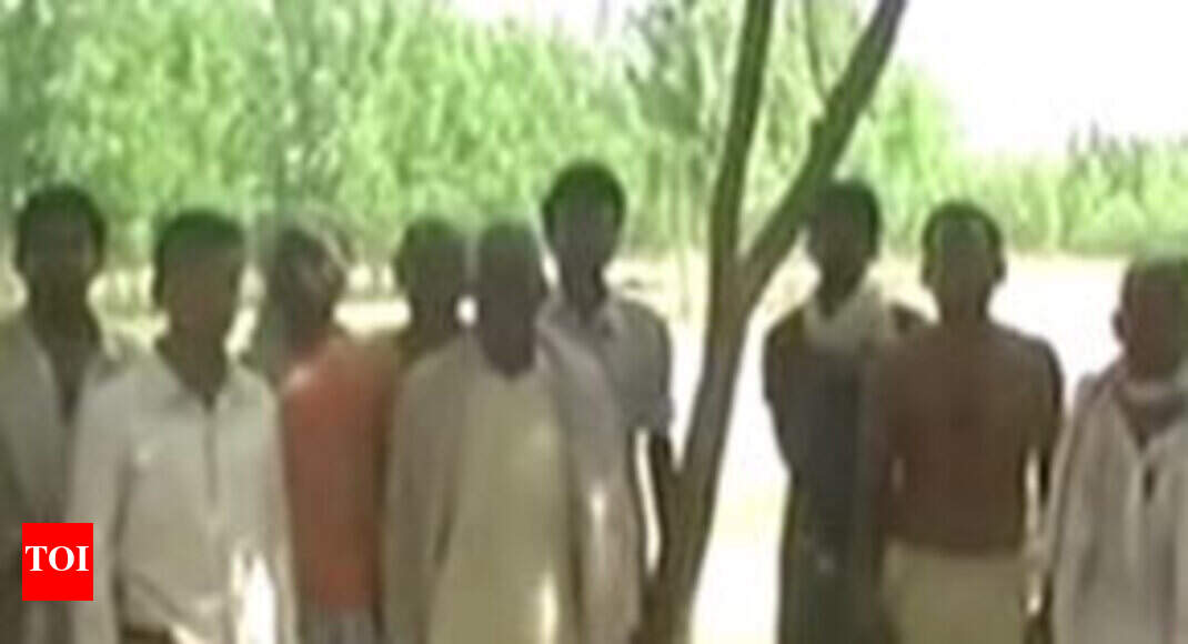 Another woman found hanging from tree in Ranipur area of UP | India ...