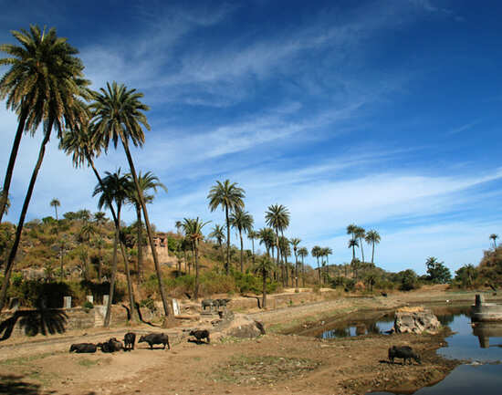Achalgarh Fort - Mount Abu: Get the Detail of Achalgarh Fort on TimesTravel