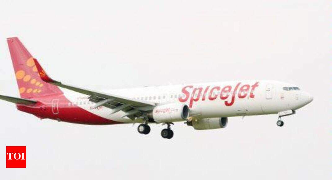SpiceJet, IndiGo bring in flash sale - Times of India