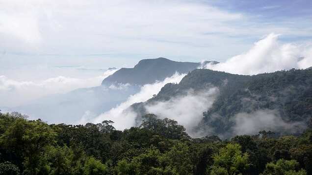 Wayanad, Wayanad - TimesTravel