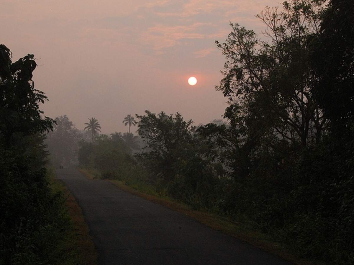 Wildlife Sanctuaries In Goa | The Wild Side of Goa | Times of India Travel