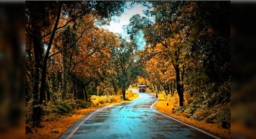 Monsoon in India: perfect places to visit in rains | Times of India Travel