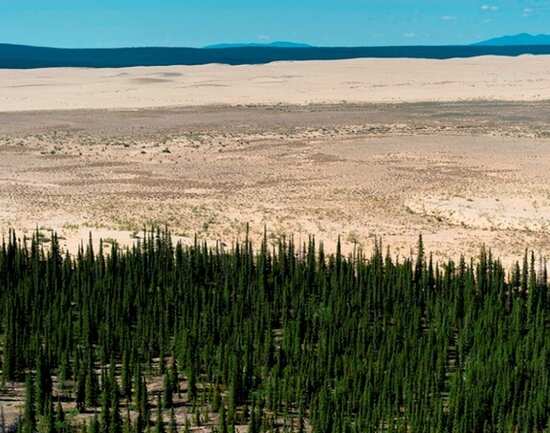 The Great Kobuk Sand Dunes—an Alaskan oddity | TimesTravel
