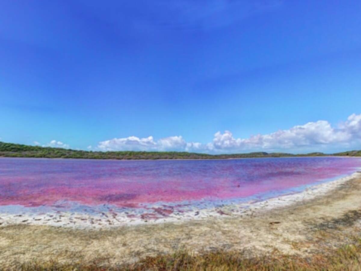 Lake Retba, Senegal | TimesTravel