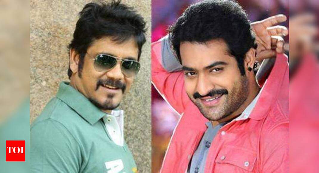 Nag, NTR film from September | Telugu Movie News - Times of India