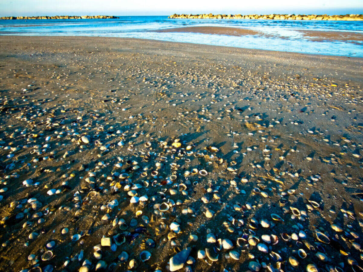 Shells Beaches Around The World | Shells Beaches Sightseeing | TimesTravel