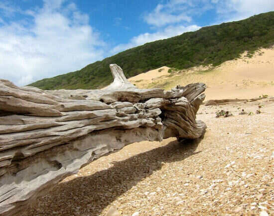 Shells Beaches Around The World | Shells Beaches Sightseeing | TimesTravel