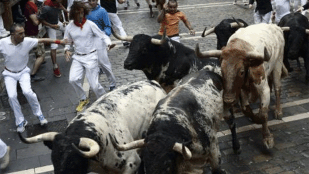 Running of the bulls | The Times of India